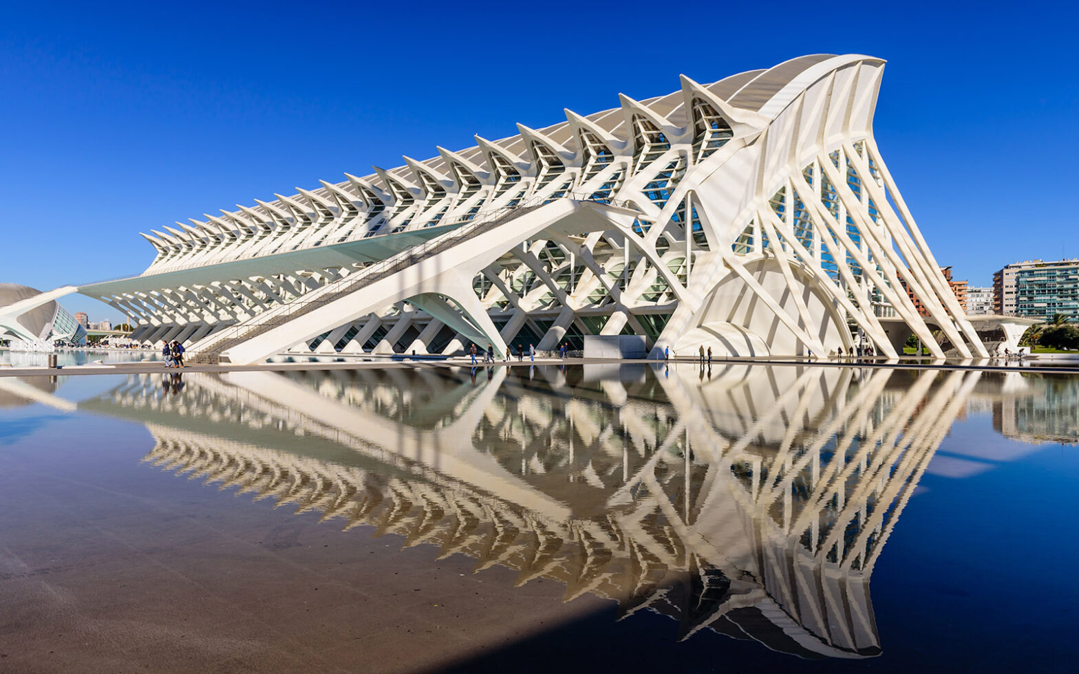 La Cité des Arts et des Sciences de Valence : Guide de l'ultime ...