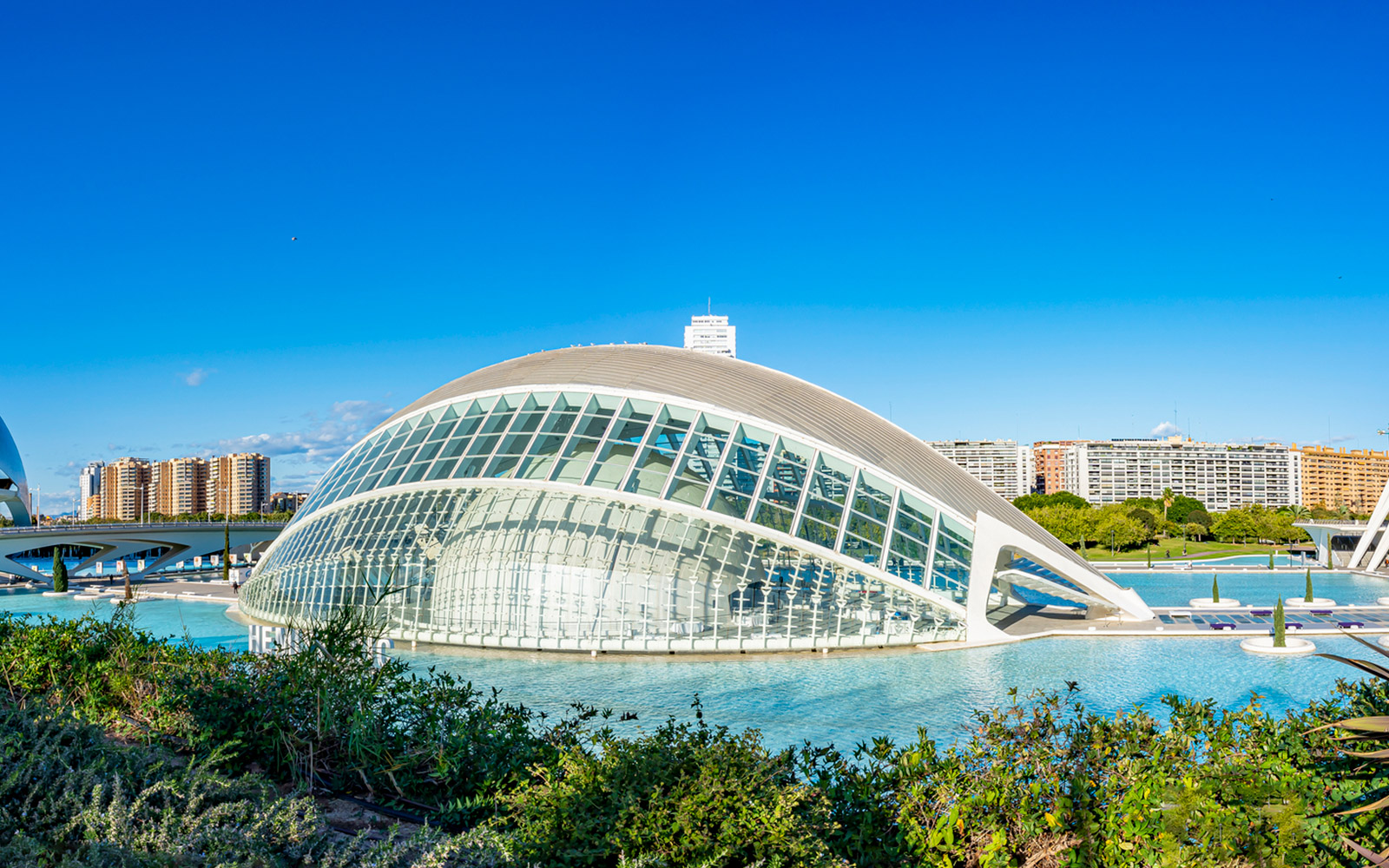 La Cité des Arts et des Sciences de Valence : Guide de l'ultime ...